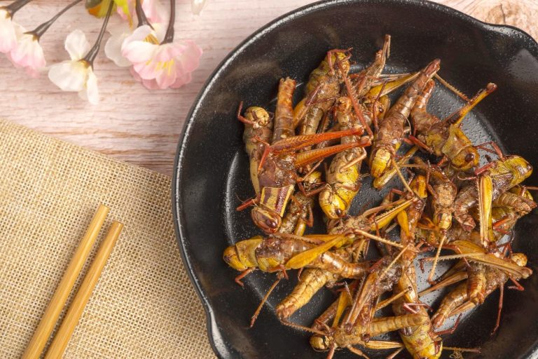 Belalang Goreng, Apakah Halal Dikonsumsi? | LPPOM MUI